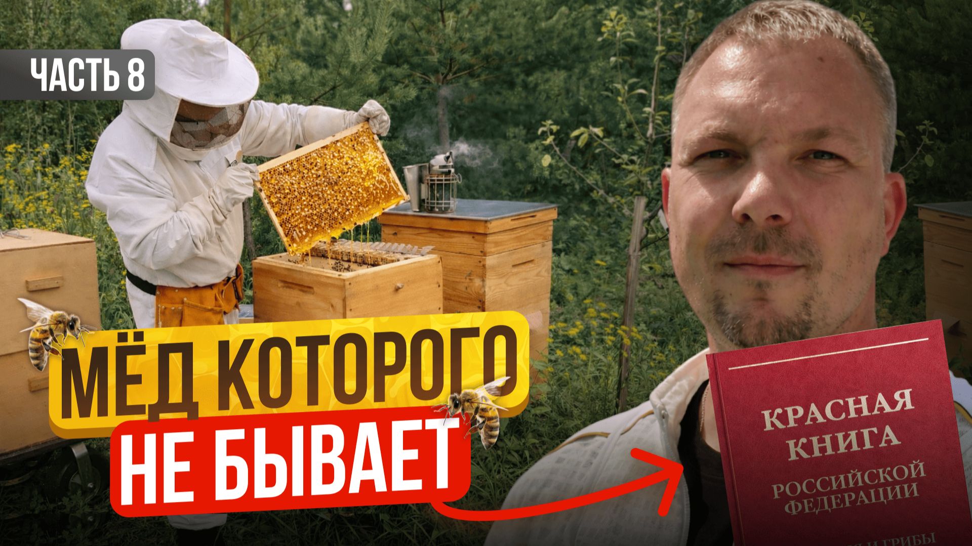 Сбежал с офиса на пасеку! Что из этого вышло? Строю пасеку с нуля | Серия 8