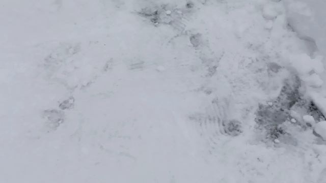 чистка снега шабашка