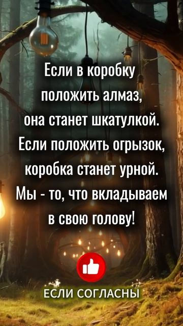 Ты - то, что впускаешь в свои  мысли! Согласны с цитатой? #цитатадня #цитатыпрожизнь
