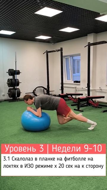 3.1 Скалолаз в планке на фитболле на локтях в ИЗО режиме х 20 сек на к сторону
