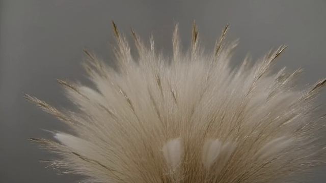 grok-video-3a38ed76-c6fa-4968-9950-ffd8b8dba302 (4)