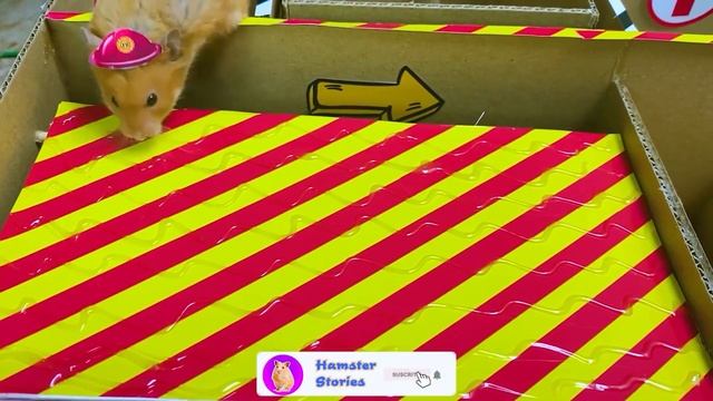 Истории о полицейском хомяке, докторе и пожарном