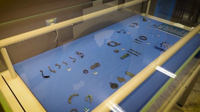 Выставка "Лесная царица". Варварская монета