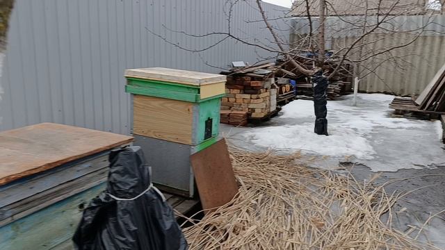 Пережили или ещё нет.