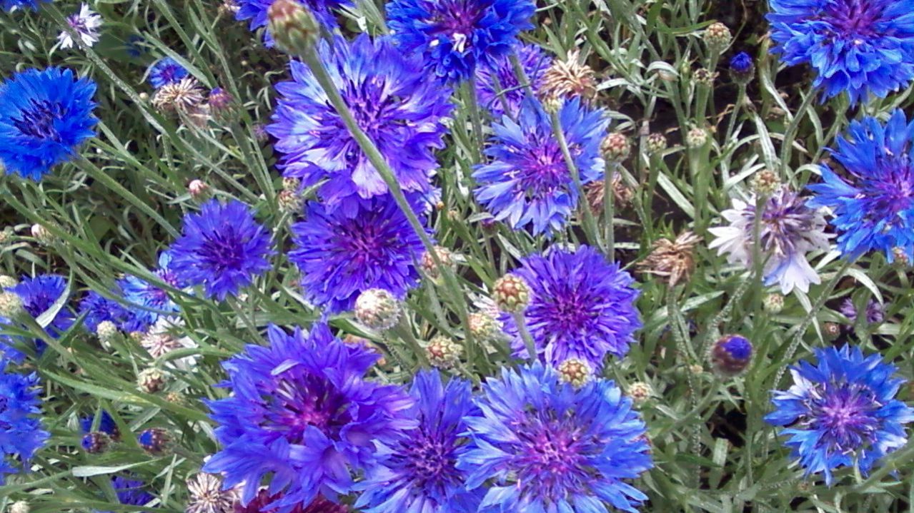 Василий - создано на сайте ТвойХит.рф (2), стихи Е. Касаткина.