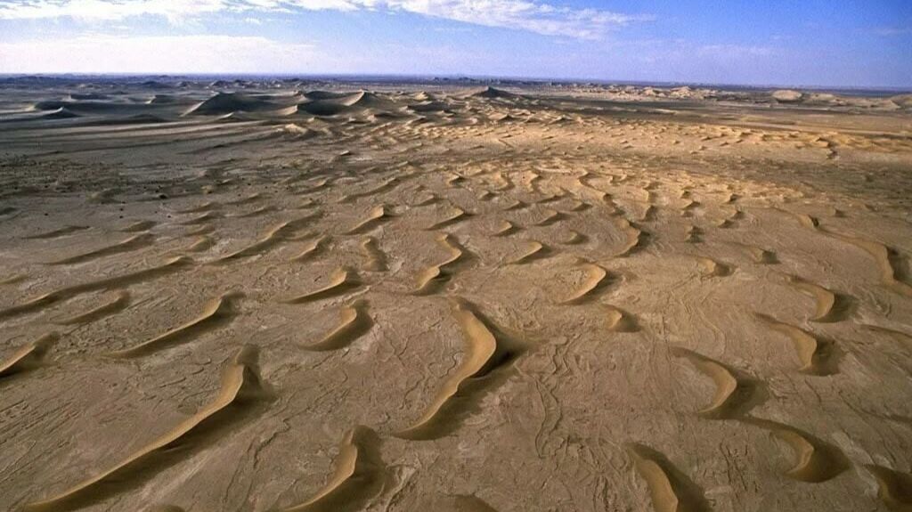 Sebastian Sellares - First Contact