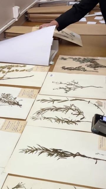 Экскурсия для выпускников второго набора института биологии и биотехнологии в АлтГУ