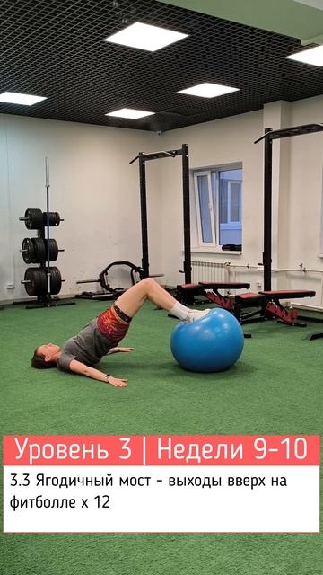 3.3 Ягодичный мост - выходы вверх на фитболле х 12