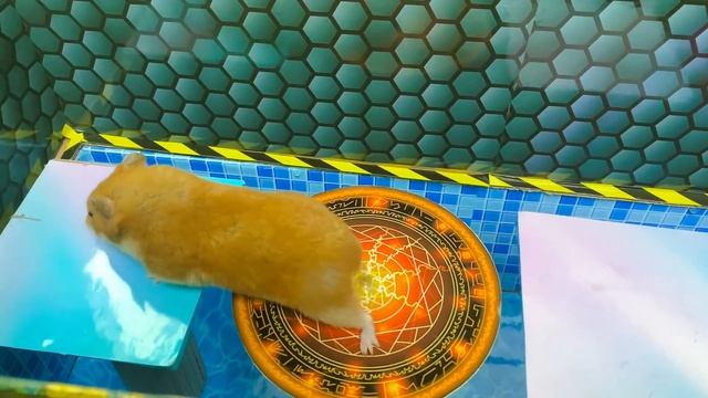 Спасите хомяка. Беременный Роб притворяется бедным доктором из «Истории хомяка»