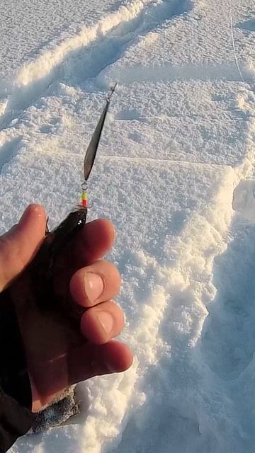 Чем больше блесна, тем меньше окунь! Рыбалка на озере зимой 2026!