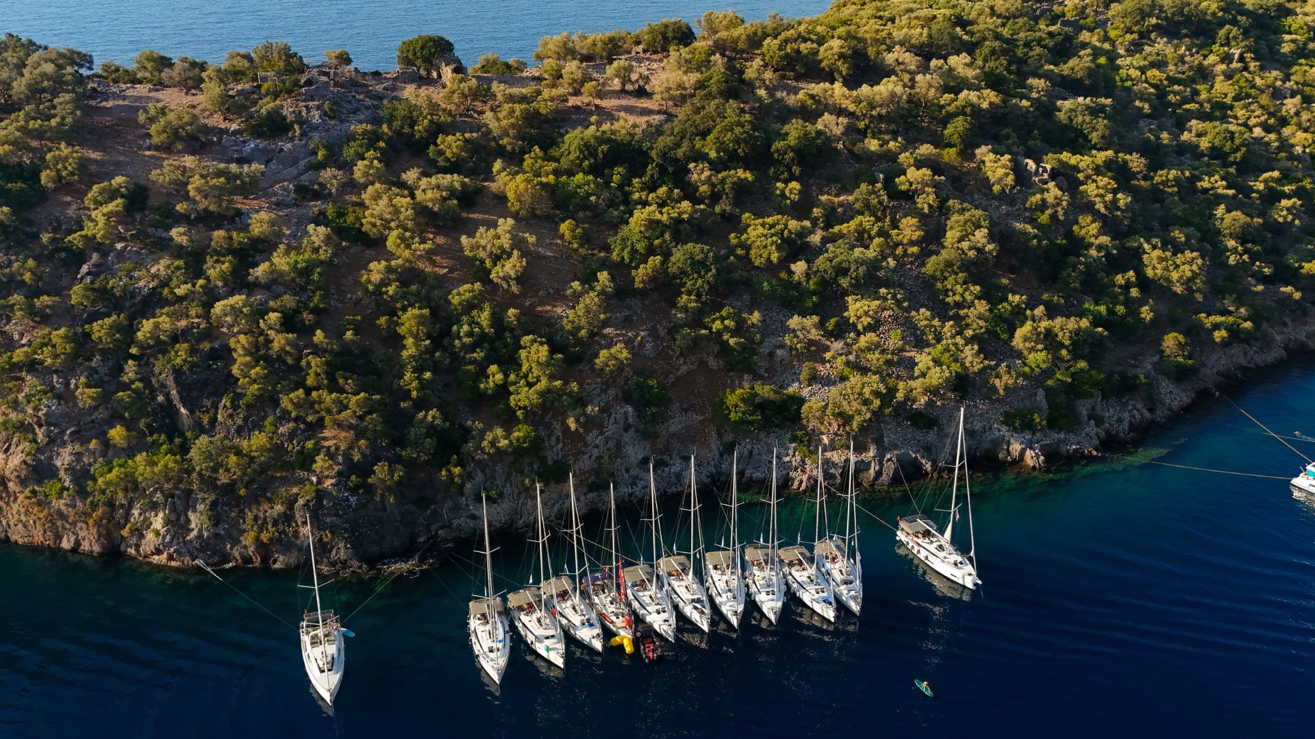 Регата «Кубок директоров» 2025