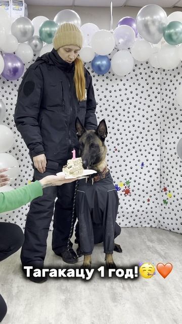 Тагакацу 1 год 🥳🎂 День рождения хвостика | Челябинск #Shorts