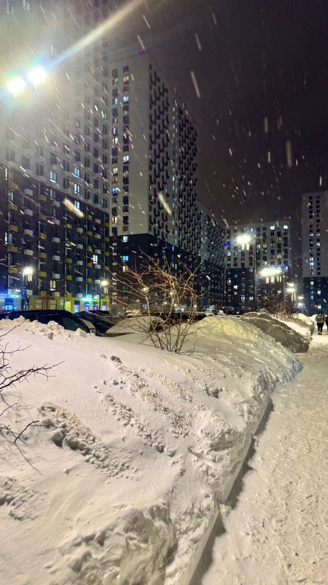 МОСКВА . ЗИМА 2025-2026