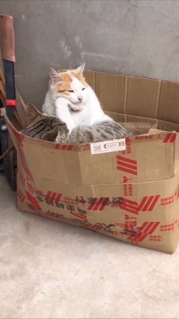 Подожди, я подумаю..🤔