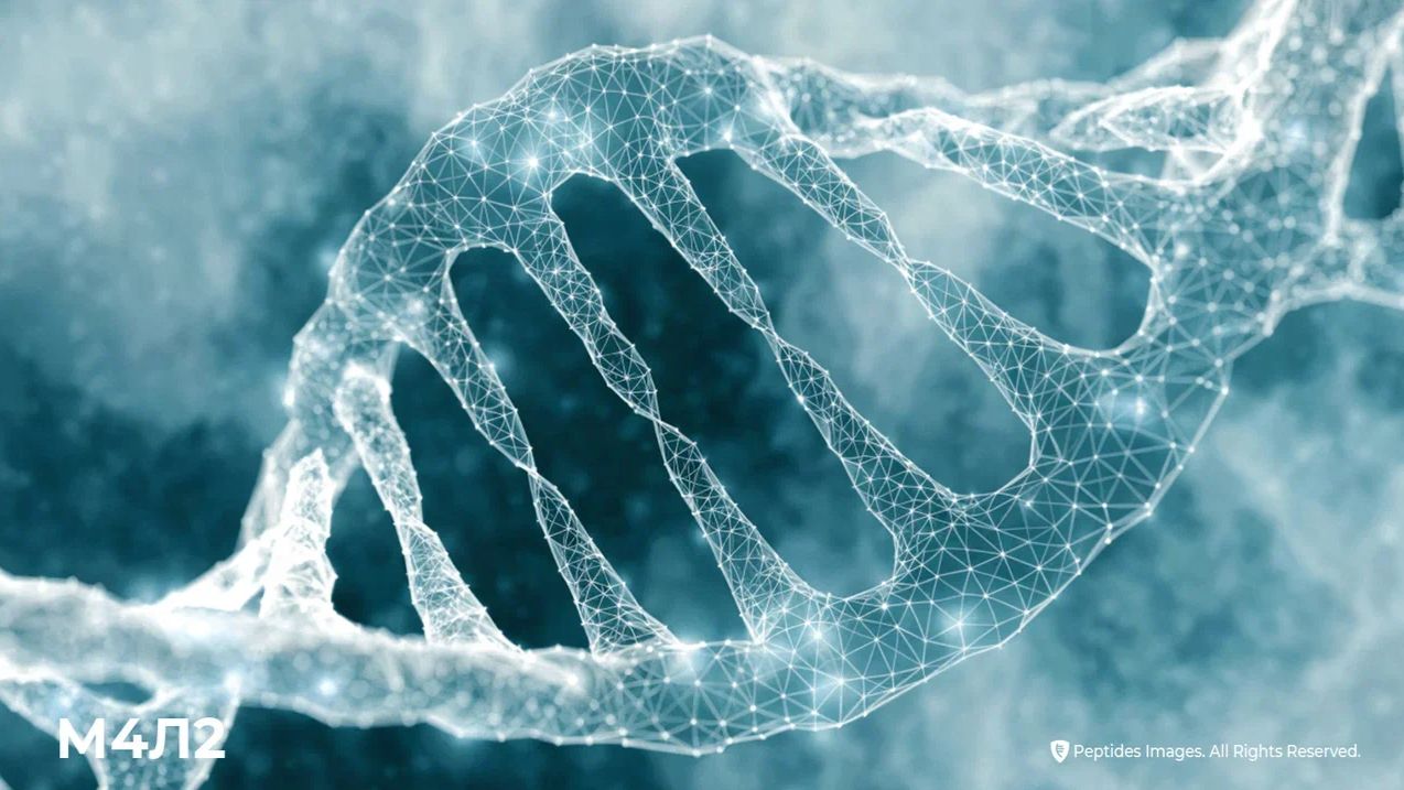 Индивидуальный подбор продукции