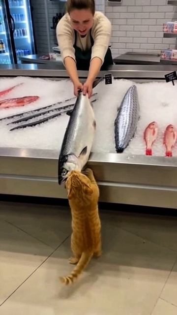 Когда нашёл свою рыбу 🐟😂 — When You Finally Foun