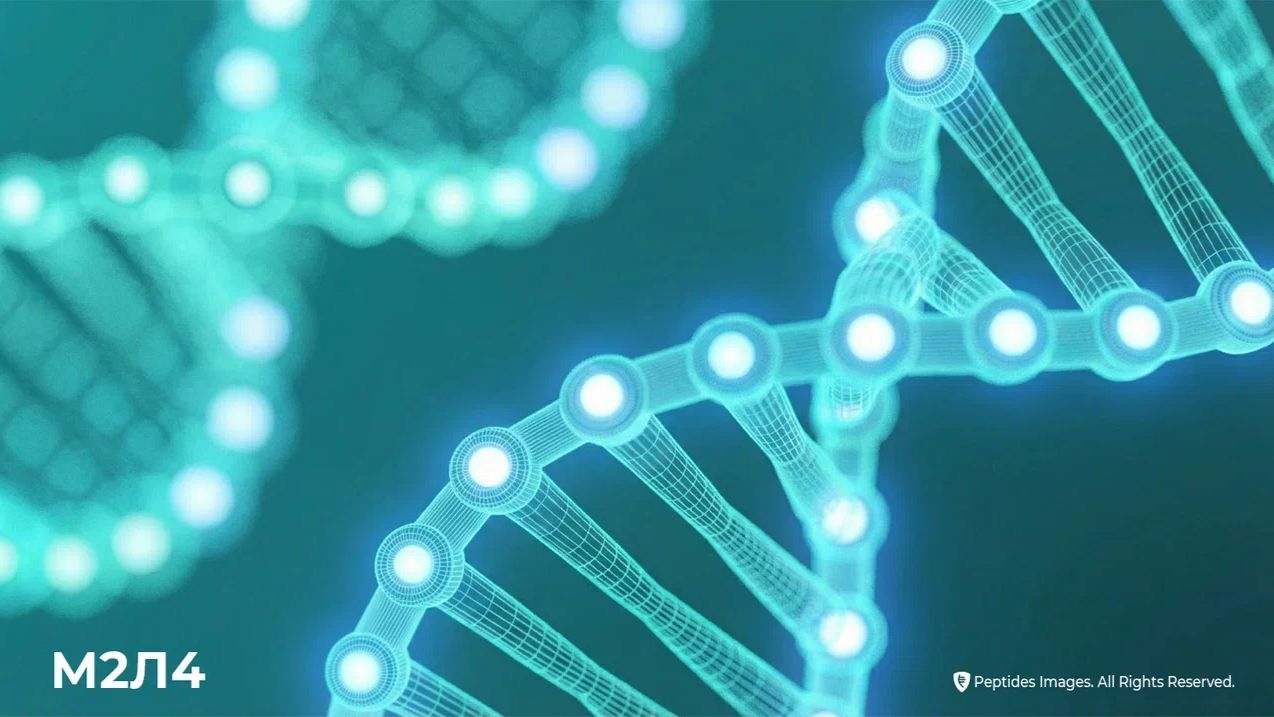 Серия Youth Gems