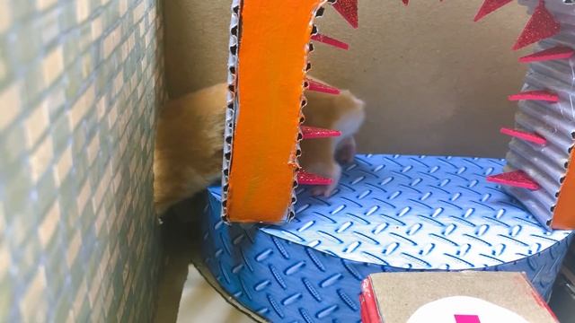 Доктор Хэмстер спасает малыша Микки Мауса. Притворяется, что беременна, в «Истории про хомяков»