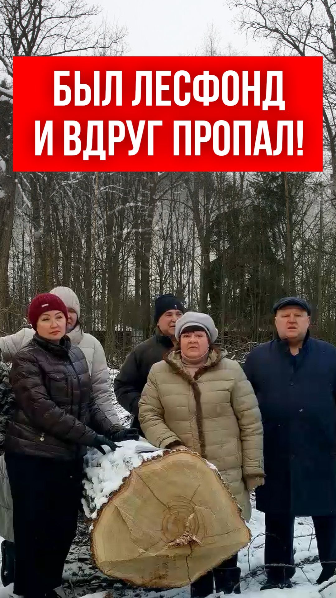 Был лесфонд и вдруг пропал!