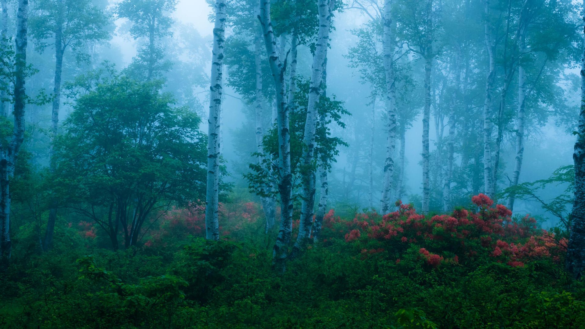 Aleksandr Shamaluev — Sadness -Sad Piano and Strings mix cut