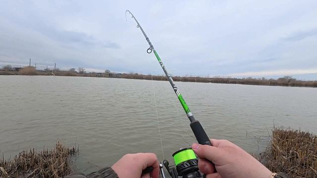Первые весенние карпы. Снасть "пружинка" рвЁт водоём=)
