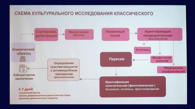 Доклад на тему "Алгоритмы применения молекулярно-биологических технологий". Е.В. Алиева