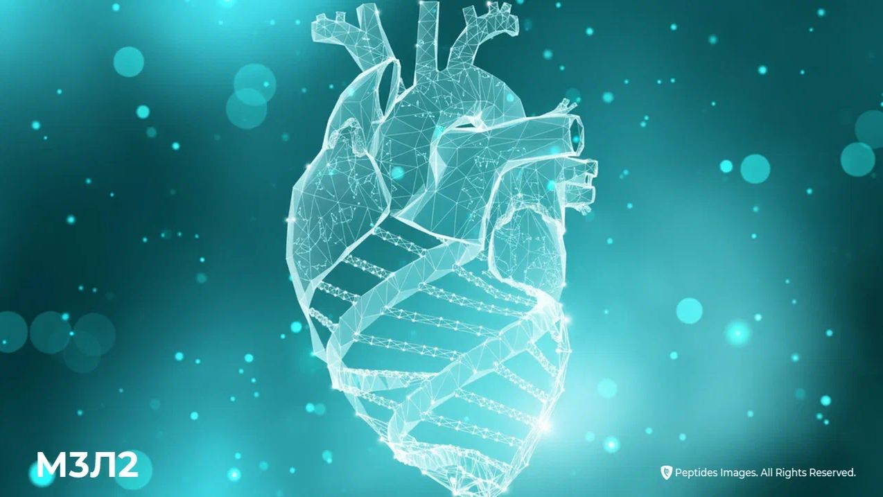 Нарушение процессов детоксикации организма