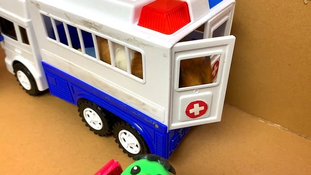 Мистер Хэмстер спасает Халка из «Лабиринта». Потрясающий доктор в реальной жизни