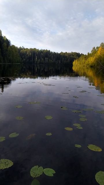 15 сентября 2024 г.