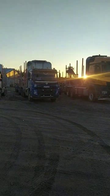 25 августа 2024 г.