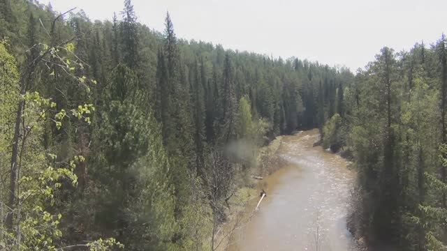 Там где живет медведь 2016 Сказочная тайга Рыбалка на хариуса
