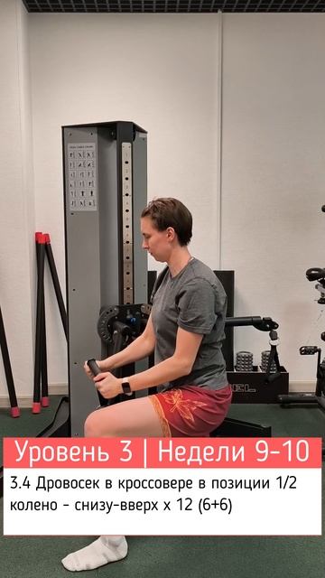 3.4 Дровосек в кроссовере в позиции 1-2 колено - снизу-вверх х 12 (6+6)