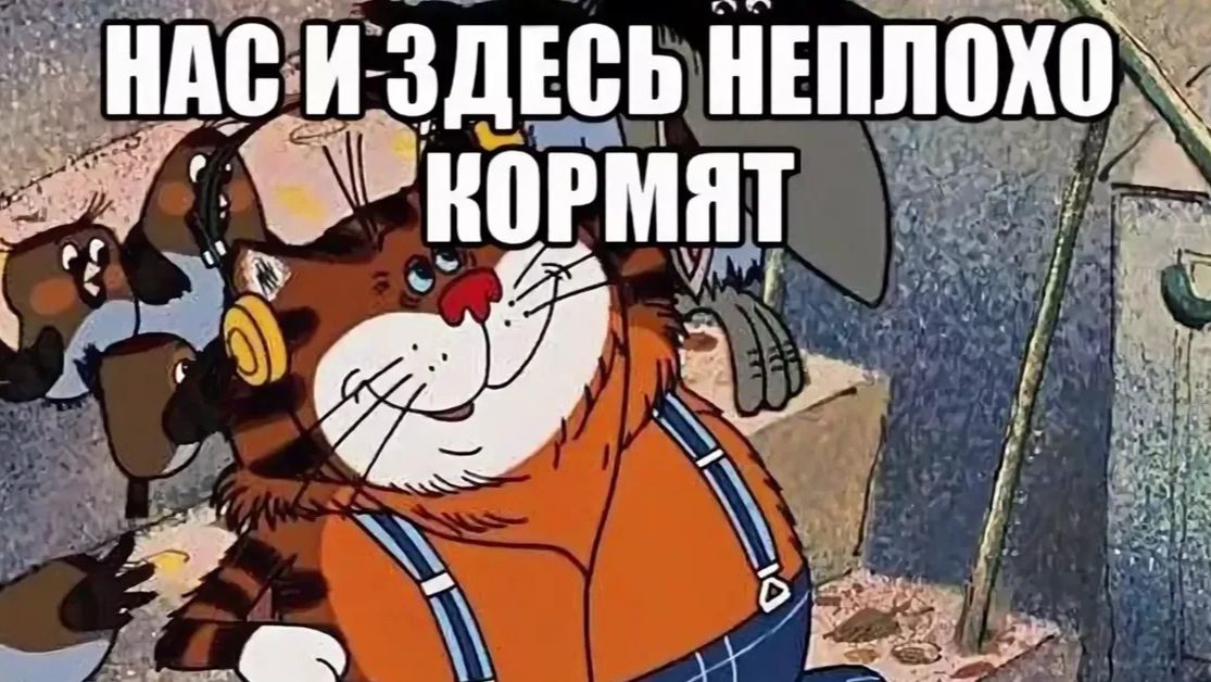 Нас и здесь неплохо кормят!