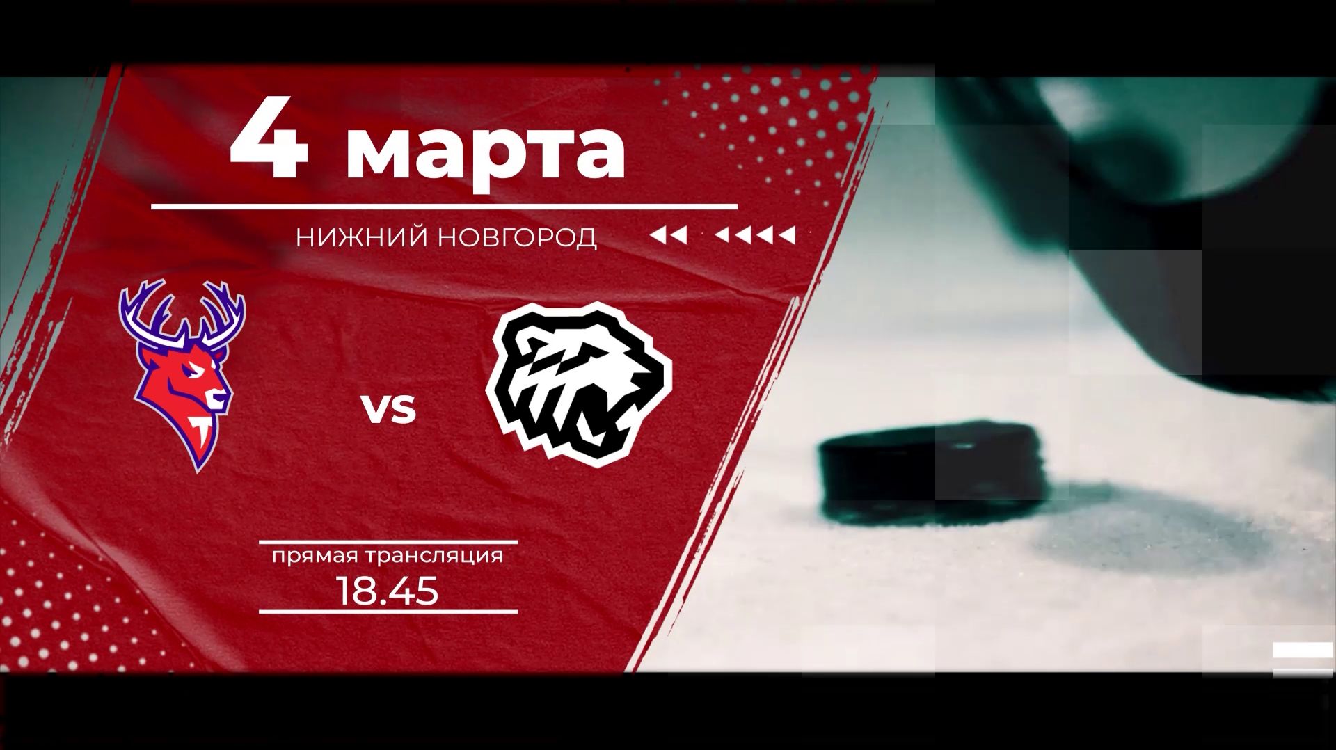 Матч КХЛ "Торпедо" - "Трактор": следите за игрой на телеканале "Нижний Новгород 24" и на "Маяке"