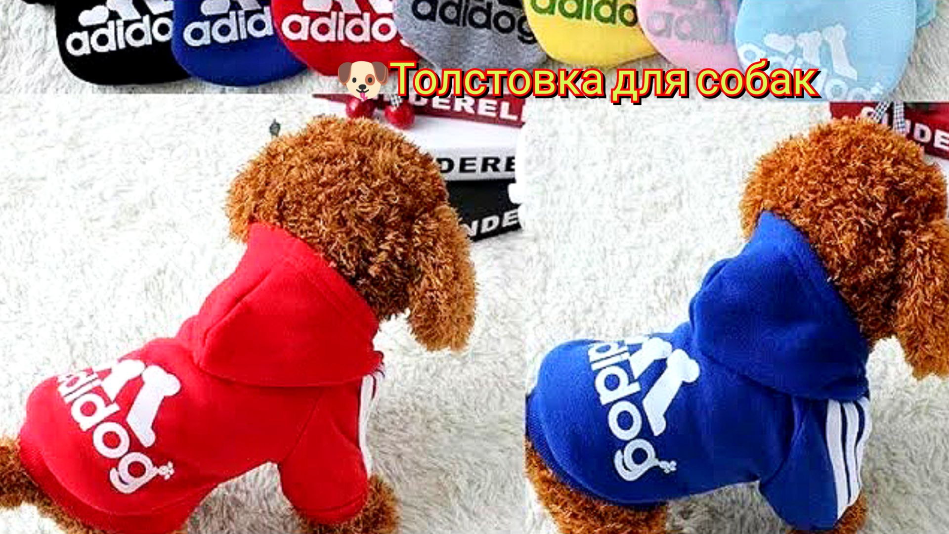 🐶Толстовка для собак из Китая YouTube перезалив