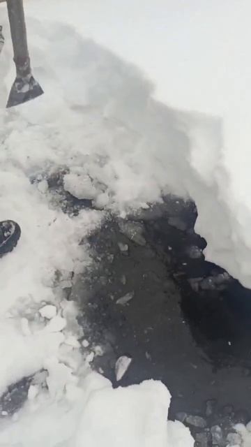 Снежные шапки на крышах многоквартирных домов