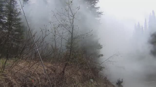 Там где живет медведь девственная тайга  рыбалка охота тайга лес природа в поход поход выживание