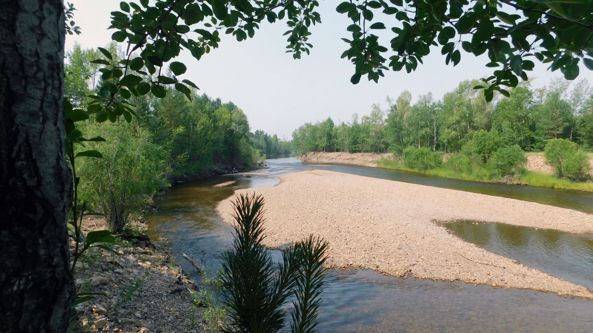 Река Читинка. (Забайкальский край.)