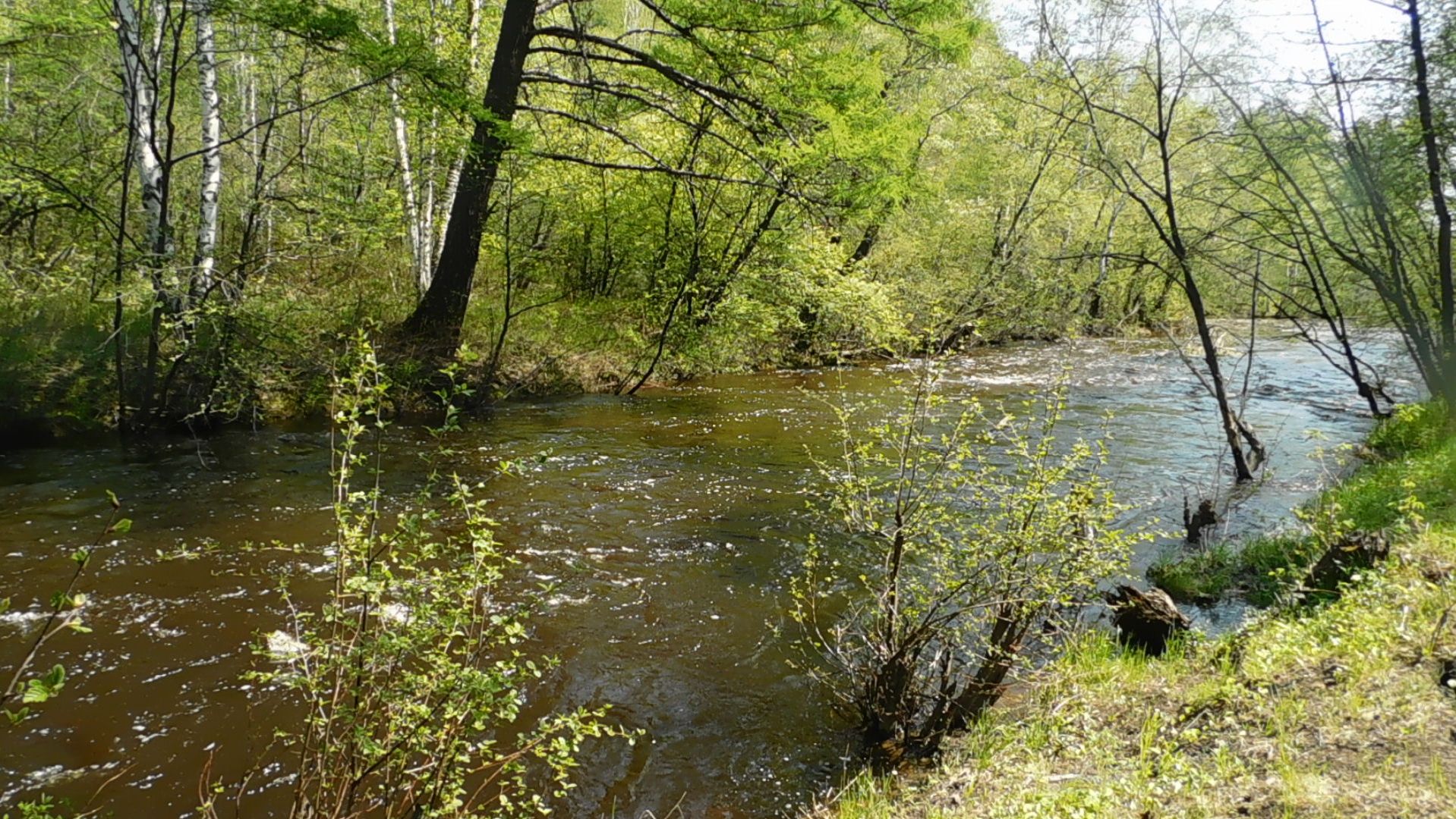 " Походная зарисовка... "