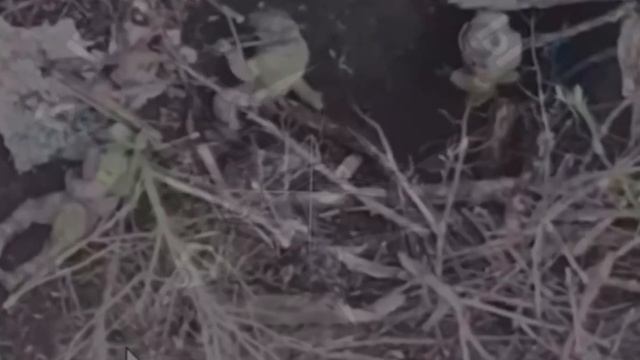 Архивные кадры с исчезновением боевиков ВСУ