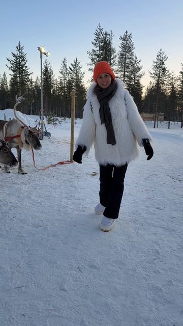 Северные олени