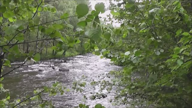 " Мелодия горной реки... "  Река Никишиха.