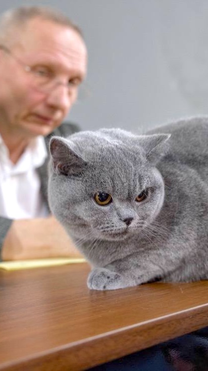 Инга на экспертизе у Игоря Бодунова