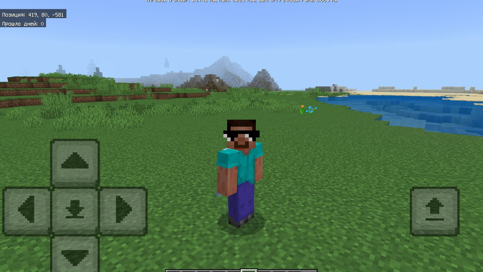 играю в Party Craflt