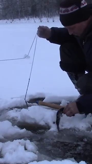 Рекорд!Такую Здоровенную Рыбу я ещё не ловил! shorts