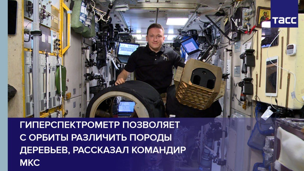 Гиперспектрометр позволяет  с орбиты различить породы деревьев, рассказал командир МКС