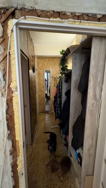 Продается 2-х комнатная квартира по центральной ул. Мира гор. Карабаново Александровского р-на