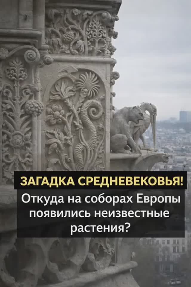 Откуда на соборах Европы появились неизвестные растения ? Часть 1