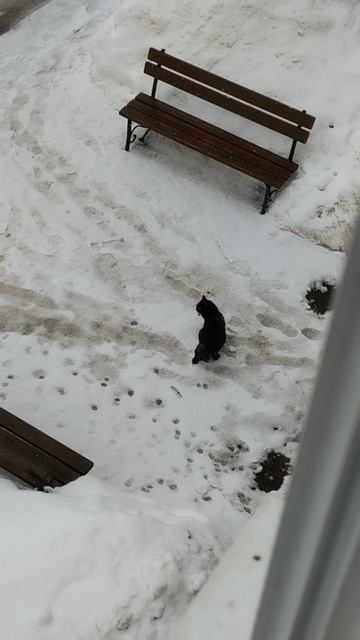 PXL_20260304_133610807