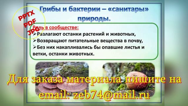 Презентация Природные сообщества